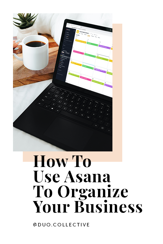 How to use Asana to organize your business - duocollective.com